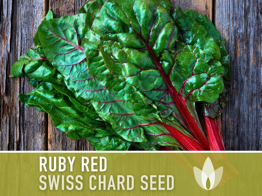 Ruby Red Swiss Chard Heirloom Seeds - Etsy