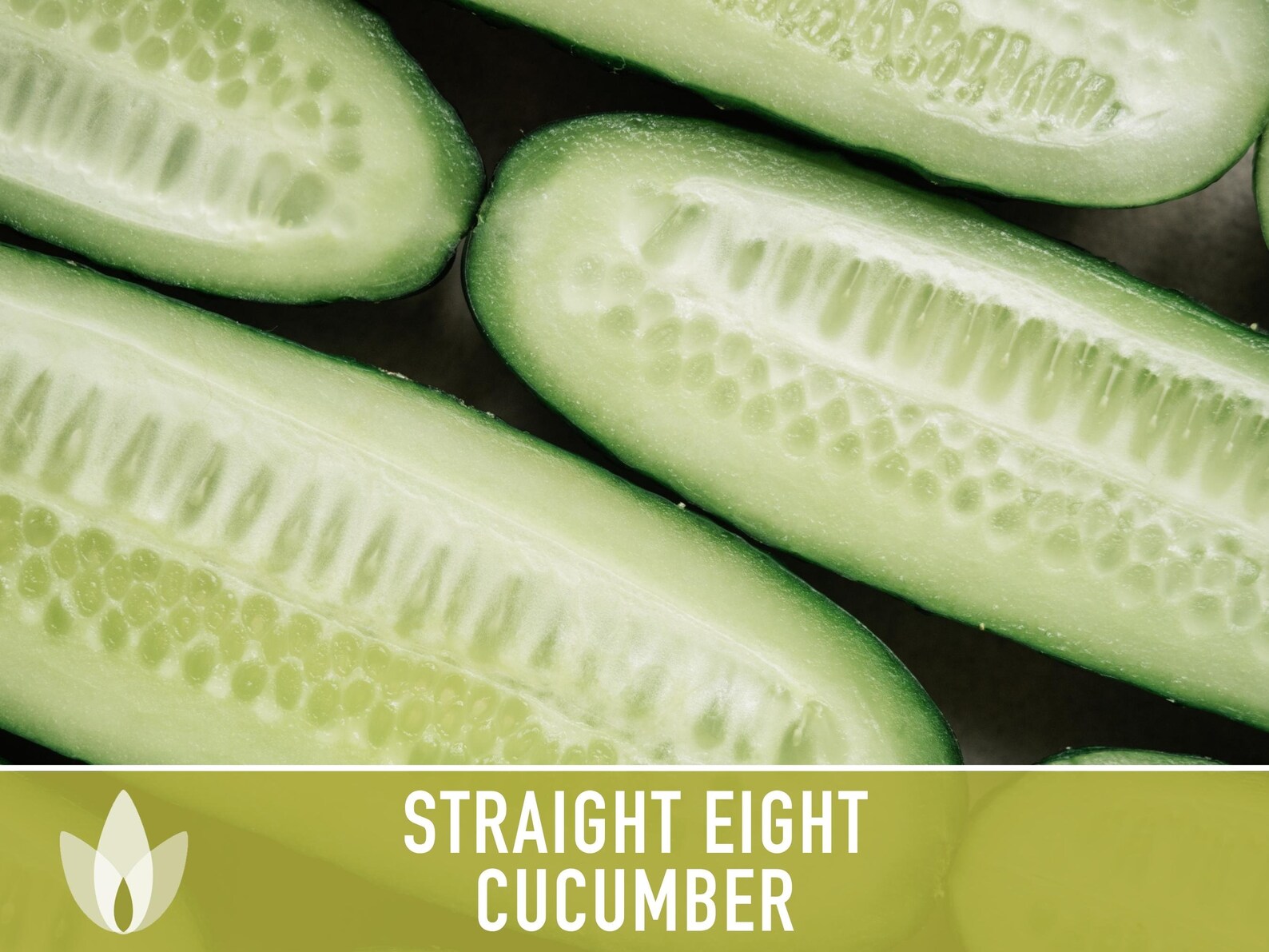 Straight Eight Cucumber Heirloom Seeds - Etsy