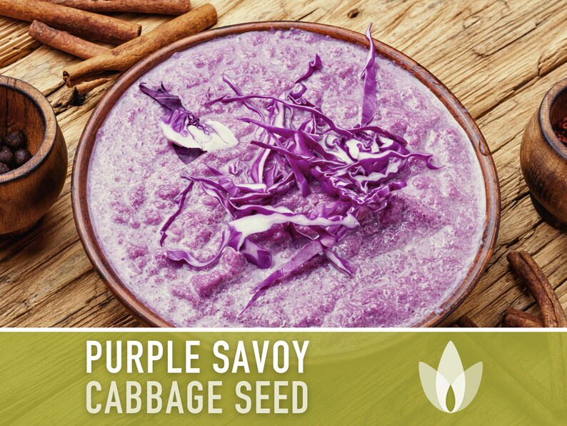 Purple Savoy Cabbage Seeds - Heirloom, Cold Hardy, 150 Seeds - Etsy