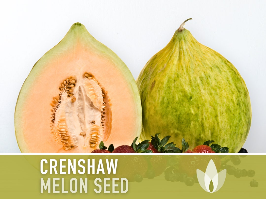 Crenshaw Melon Heirloom Seeds - Muskmelon, Sweet, Large, Organic, Non ...