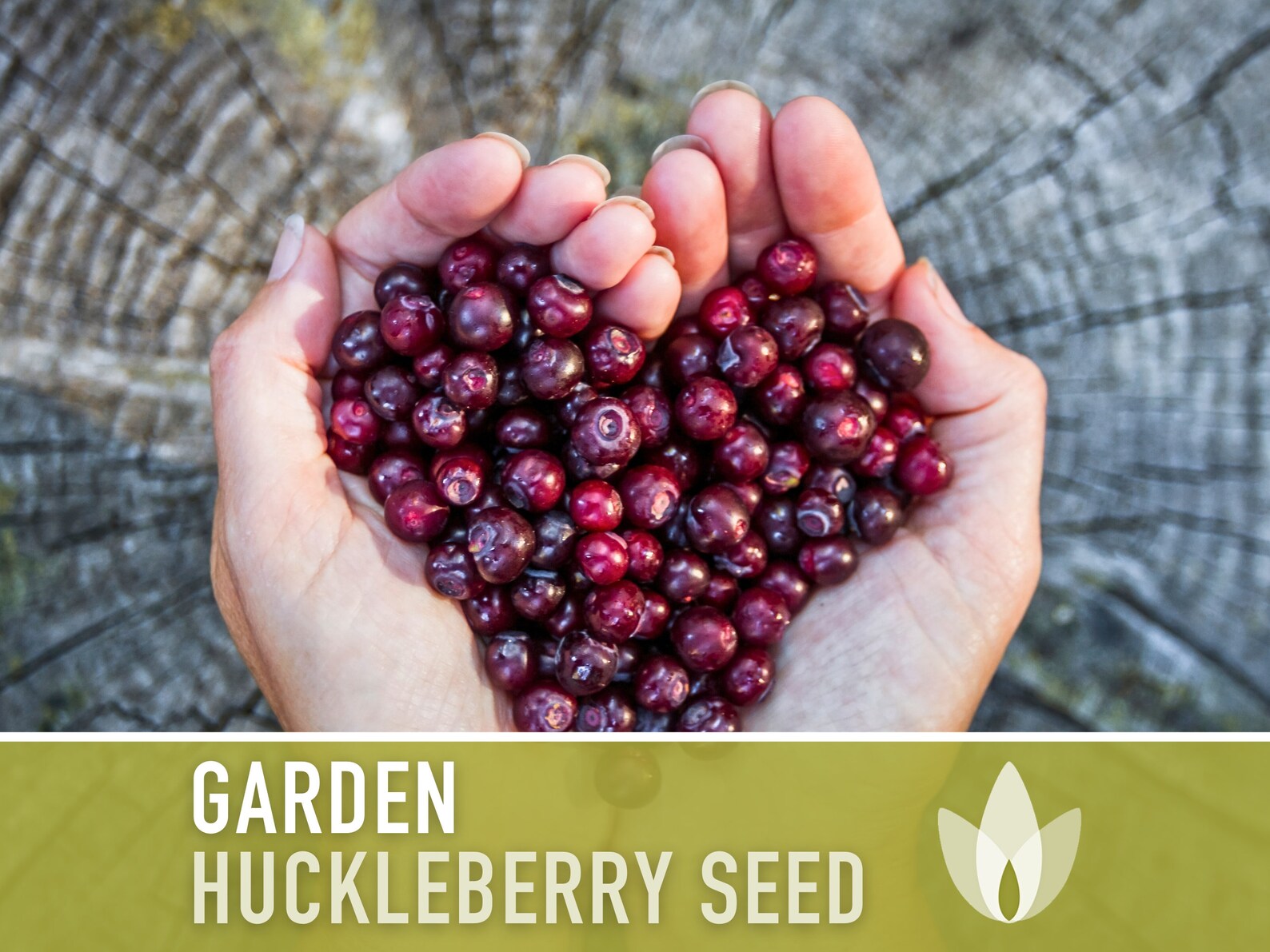 Garden Huckleberry Seeds - Heirloom, Non-gmo (20 Seeds) - Etsy Canada