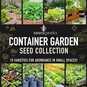 Container Garden Seed Collection - 10 Productive Heirloom Varieties for ...