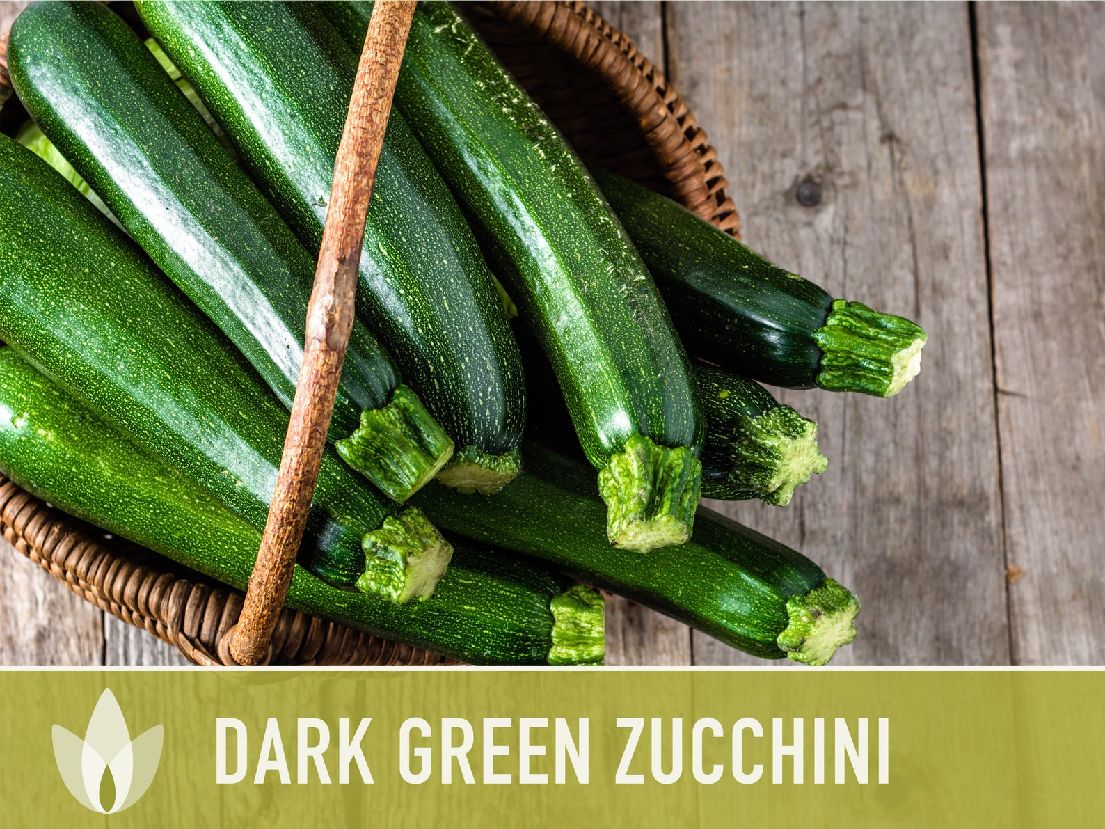 Dark Green Zucchini Summer Squash Heirloom Seeds - Etsy