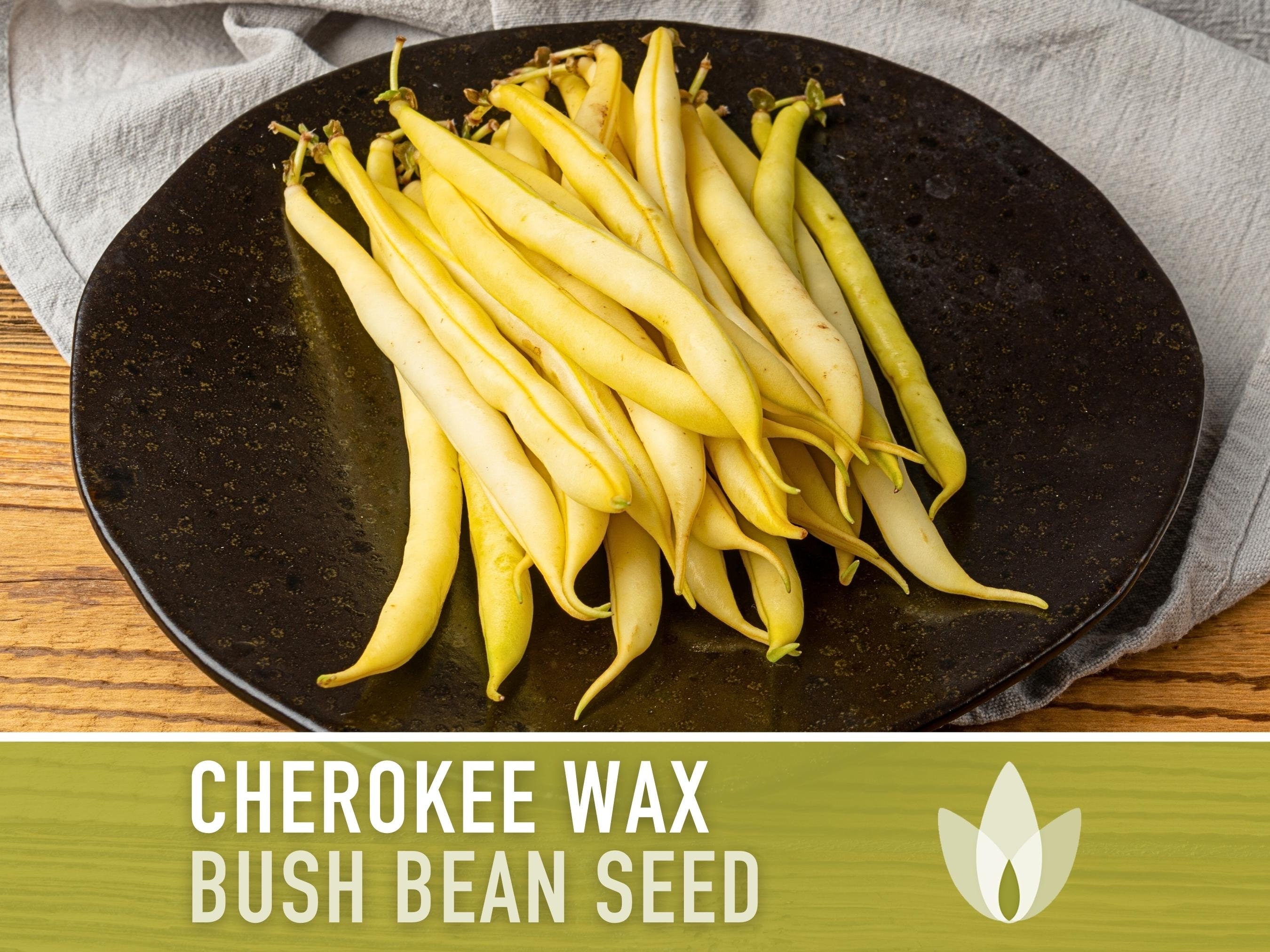 Cherokee Wax Bush Bean Heirloom Seeds - Etsy