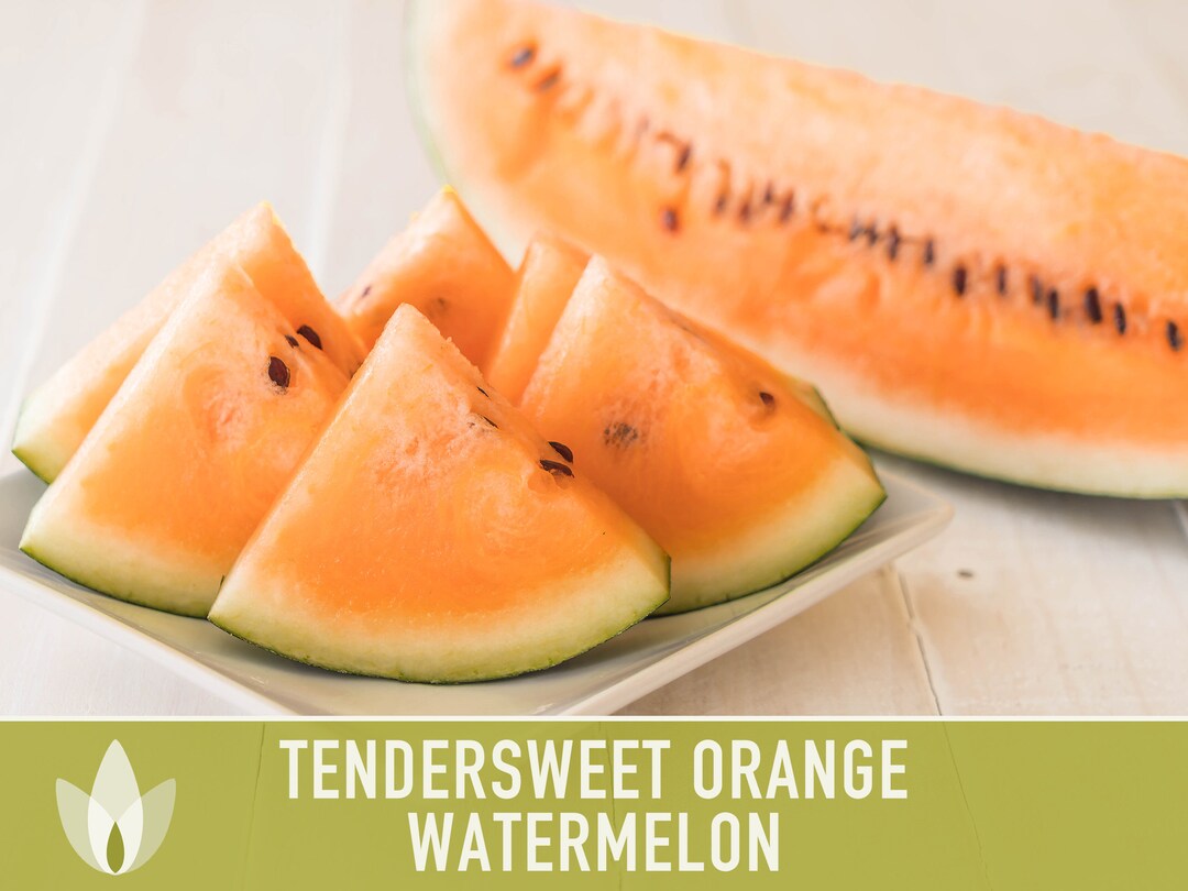 Tendersweet Orange Watermelon Heirloom Seeds - Etsy