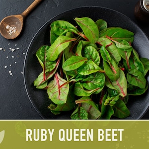 Ruby Queen Beet Seeds - Heirloom Seeds, AAS Winner, Easy to Grow ...