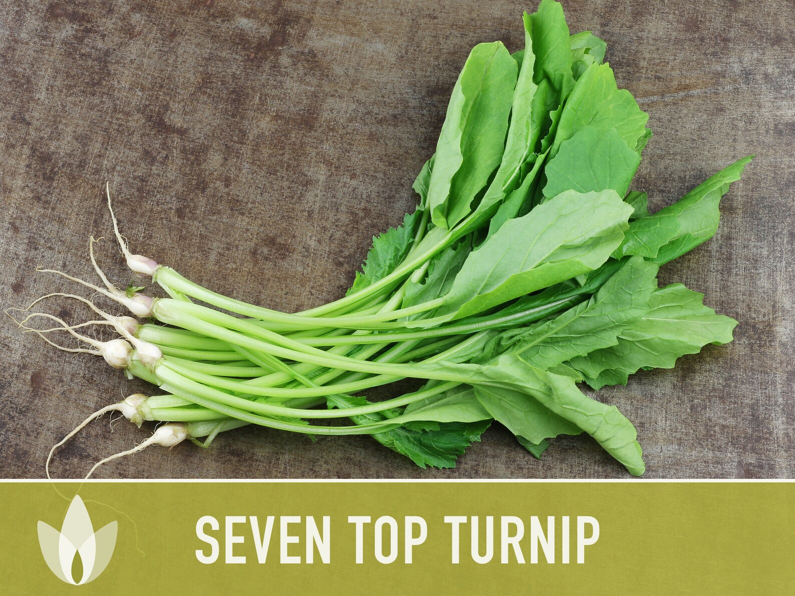 Seven Top Turnip Seeds Heirloom Seeds Turnip Greens Cool - Etsy