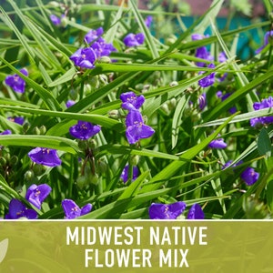 Midwest Native Mix Flower Seeds, Heirloom, Native, Flower Seeds - Etsy