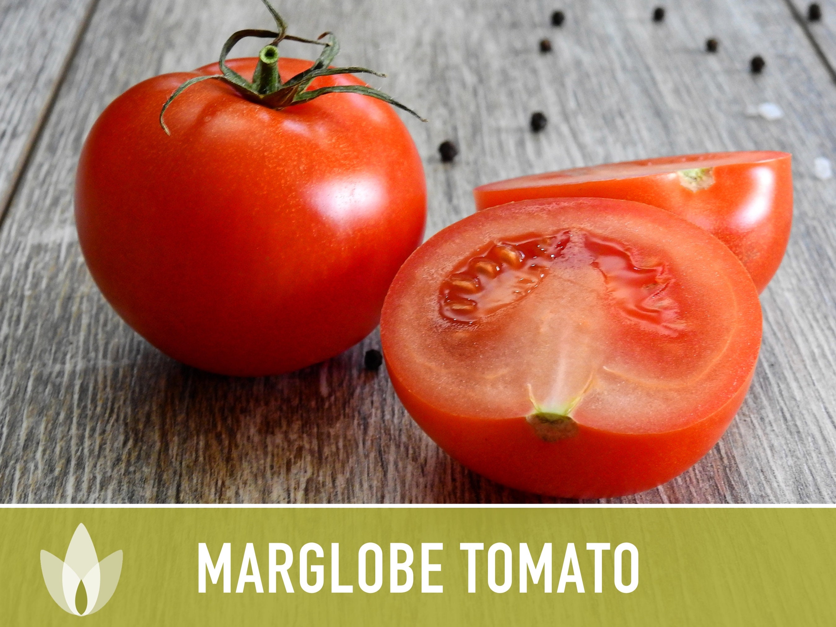 Marglobe Tomato Heirloom Seeds - Etsy