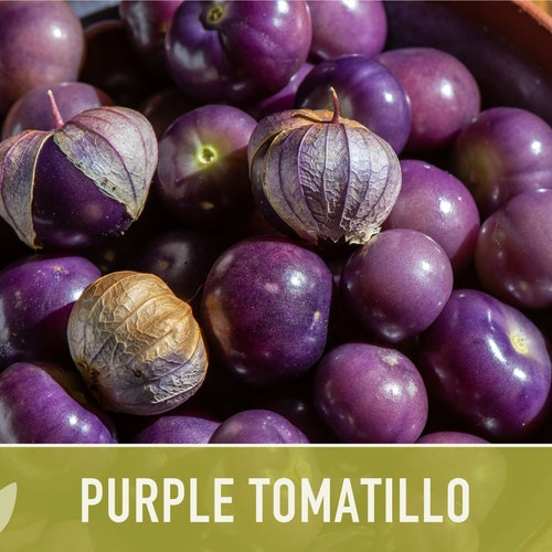 Isis Candy Cherry Tomato Heirloom Seeds - Etsy