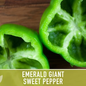 Emerald Giant Sweet Pepper Heirloom Seeds - Bell Pepper, Stuffed ...