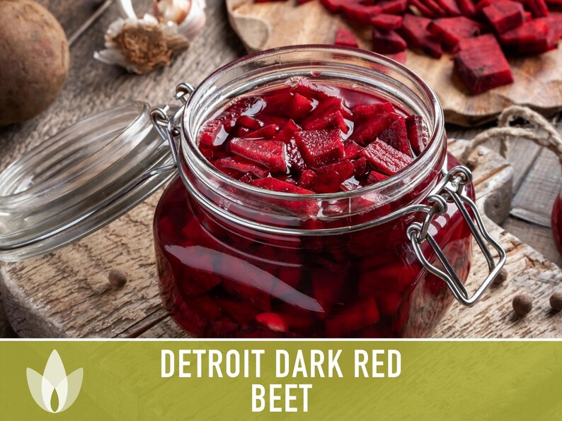 Detroit Dark Red Beet Seeds - Heirloom, Cold Hearty, Open Pollinated ...