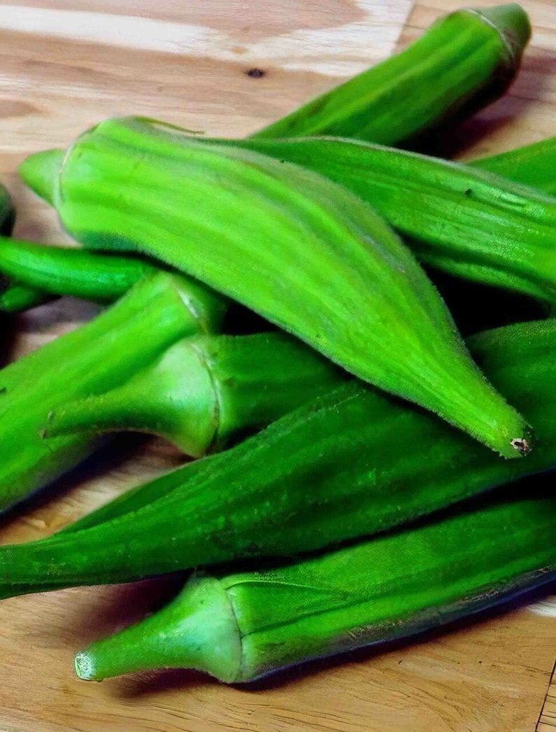 Emerald Green Velvet Okra Heirloom Seeds Non-gmo Open - Etsy