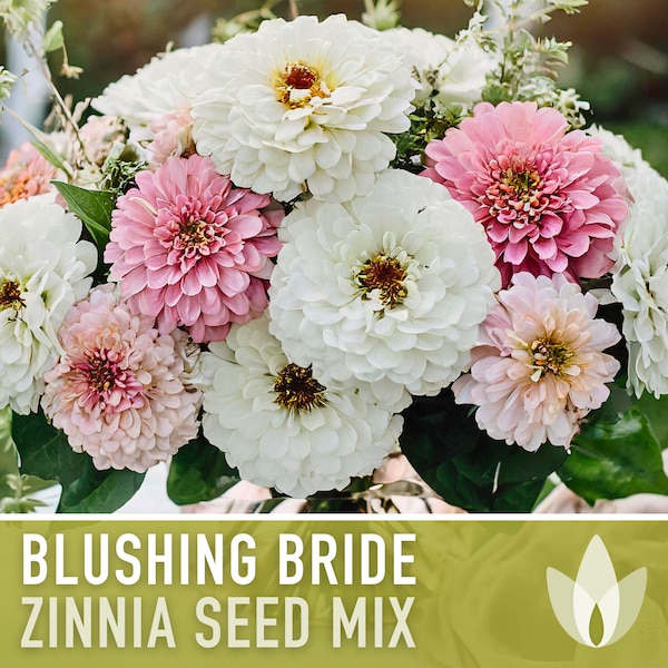 Blush Pink Wedding - Etsy