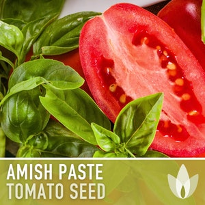 Amish Paste Tomato Seeds – Heirloom Plum Tomato for Sauces - Etsy
