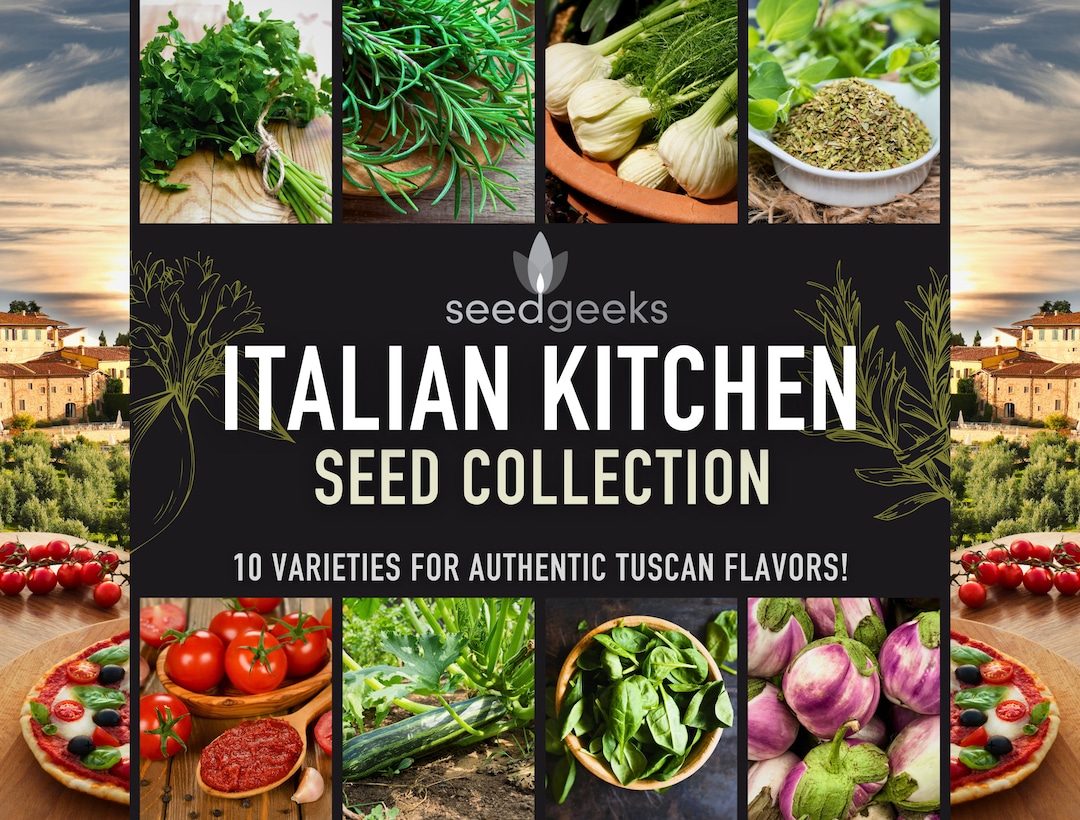 Heirloom Italian Kitchen Seed Collection – 10 Non-gmo Varieties - Etsy