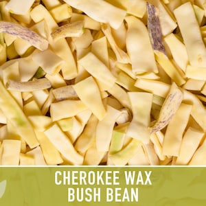 Cherokee Wax Bush Bean Seeds - Heirloom, Frozen Beans, Canned Beans ...