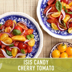 Isis Candy Cherry Tomato Heirloom Seeds - Salad Garden, Indeterminate ...