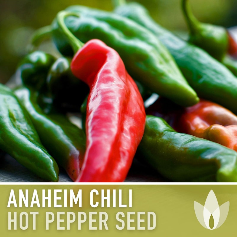 Pepper Seeds Anaheim - Etsy