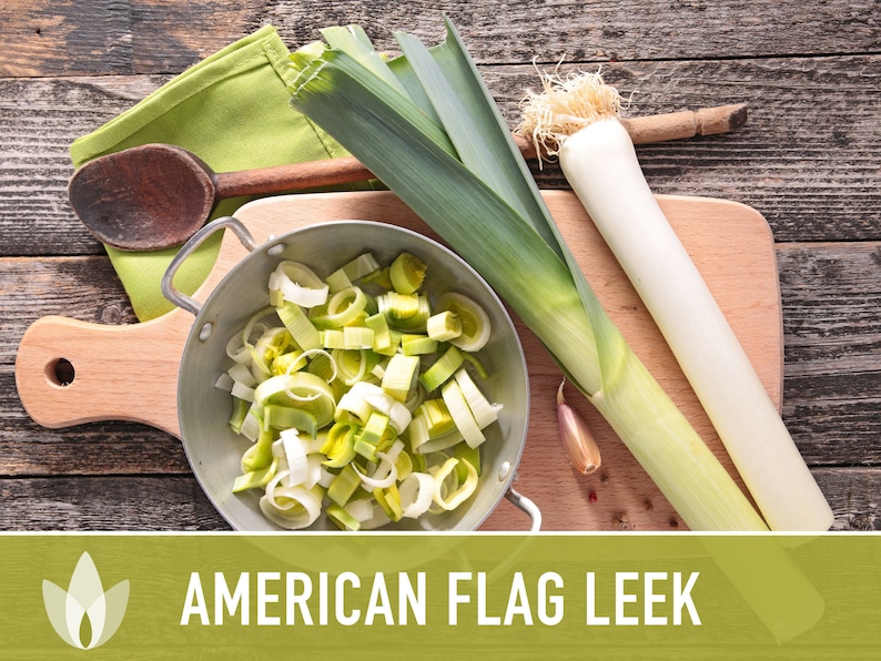 American Flag Leek Heirloom Seeds - Etsy