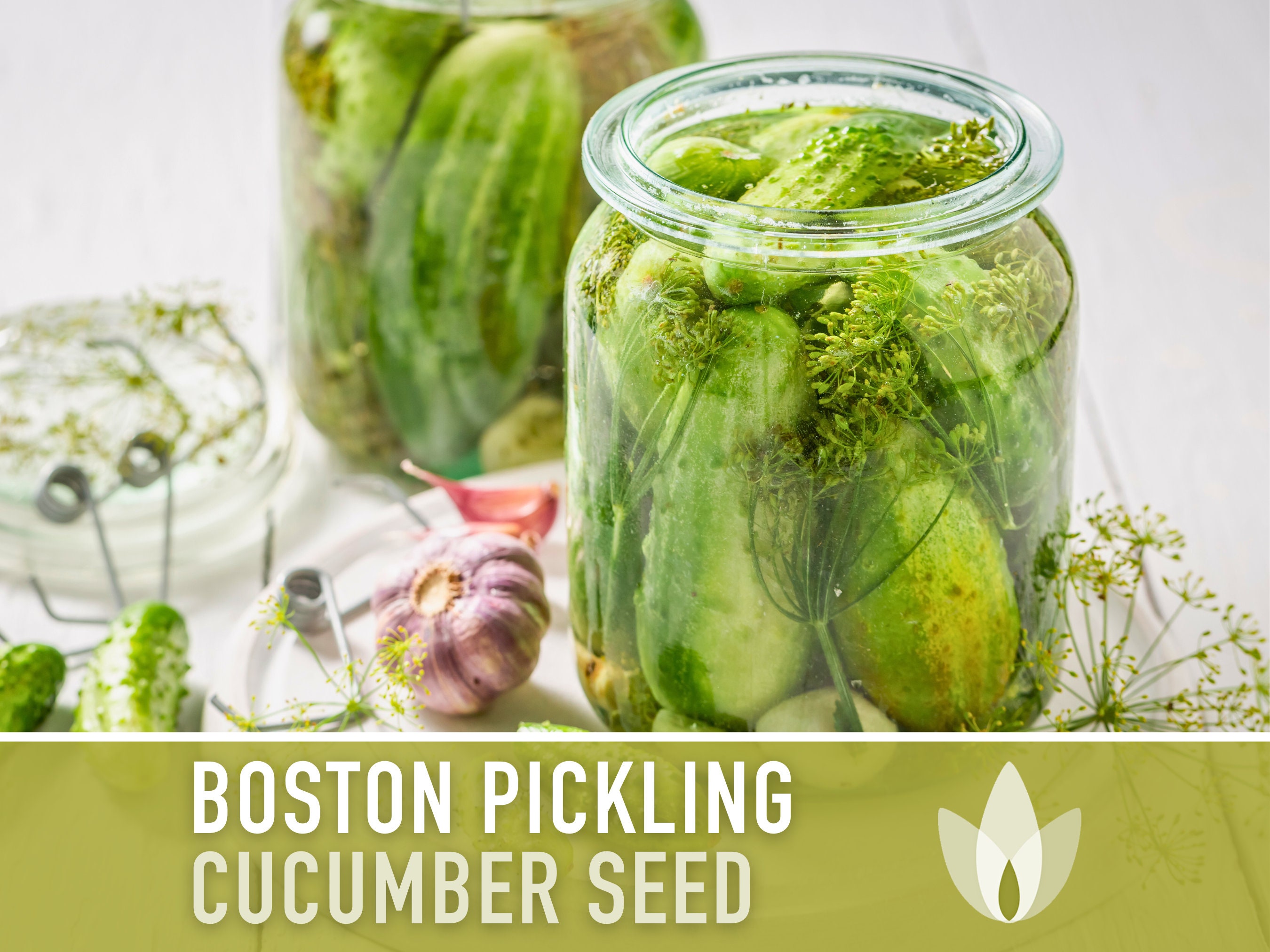 Boston Pickling Cucumber Heirloom Seeds - Etsy