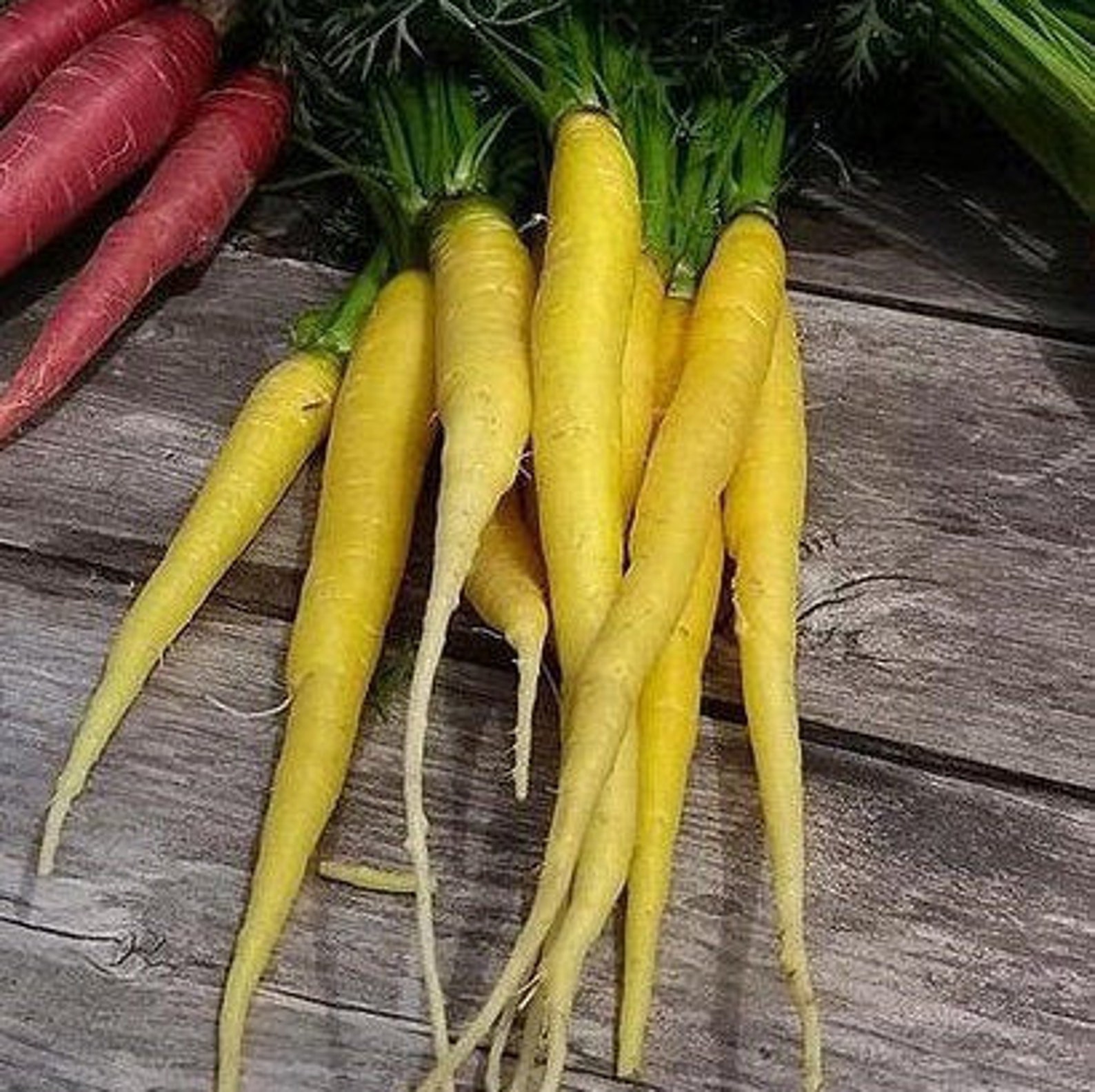 Solar Yellow Carrot Heirloom Seeds - Etsy
