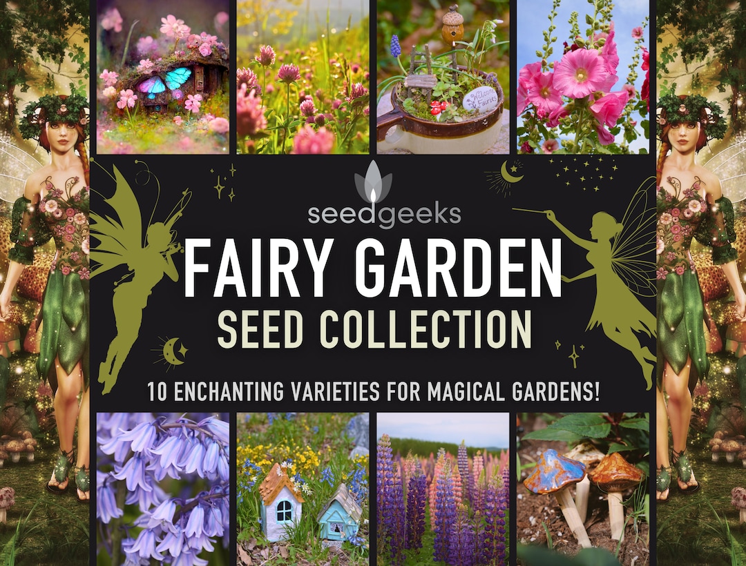 Fairy Garden Seed Collection – 10 Heirloom Flower Varieties, Non-gmo - Etsy