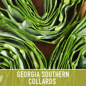 Georgia Southern Collards Heirloom Seeds - Collard Greens, Heat ...