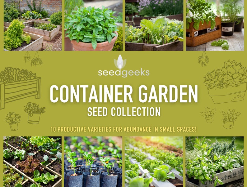 Container Garden Seed Collection 10 Productive Varieties for - Etsy