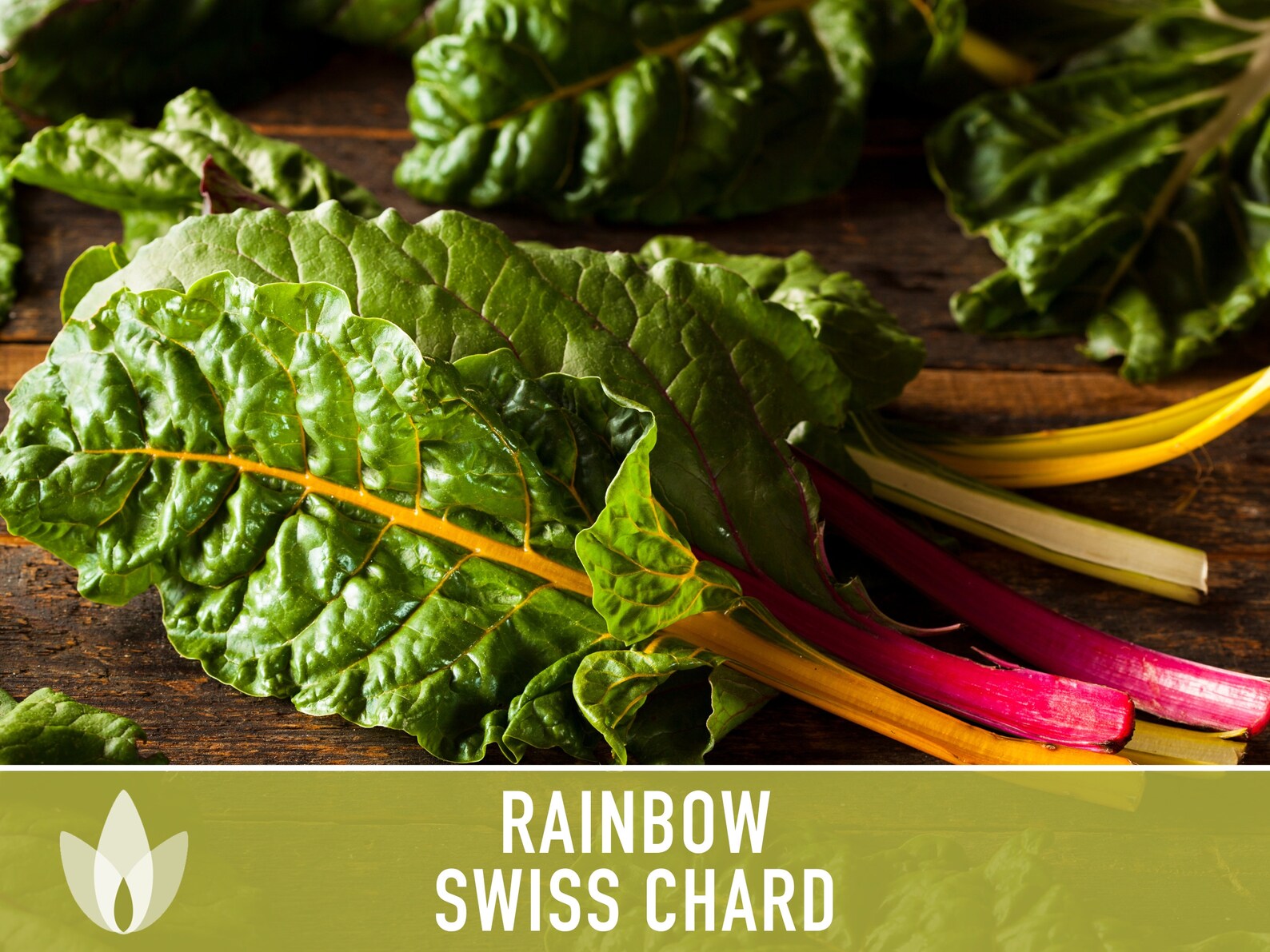 Rainbow Swiss Chard Heirloom Seeds - Edible Landscaping, Spinach ...
