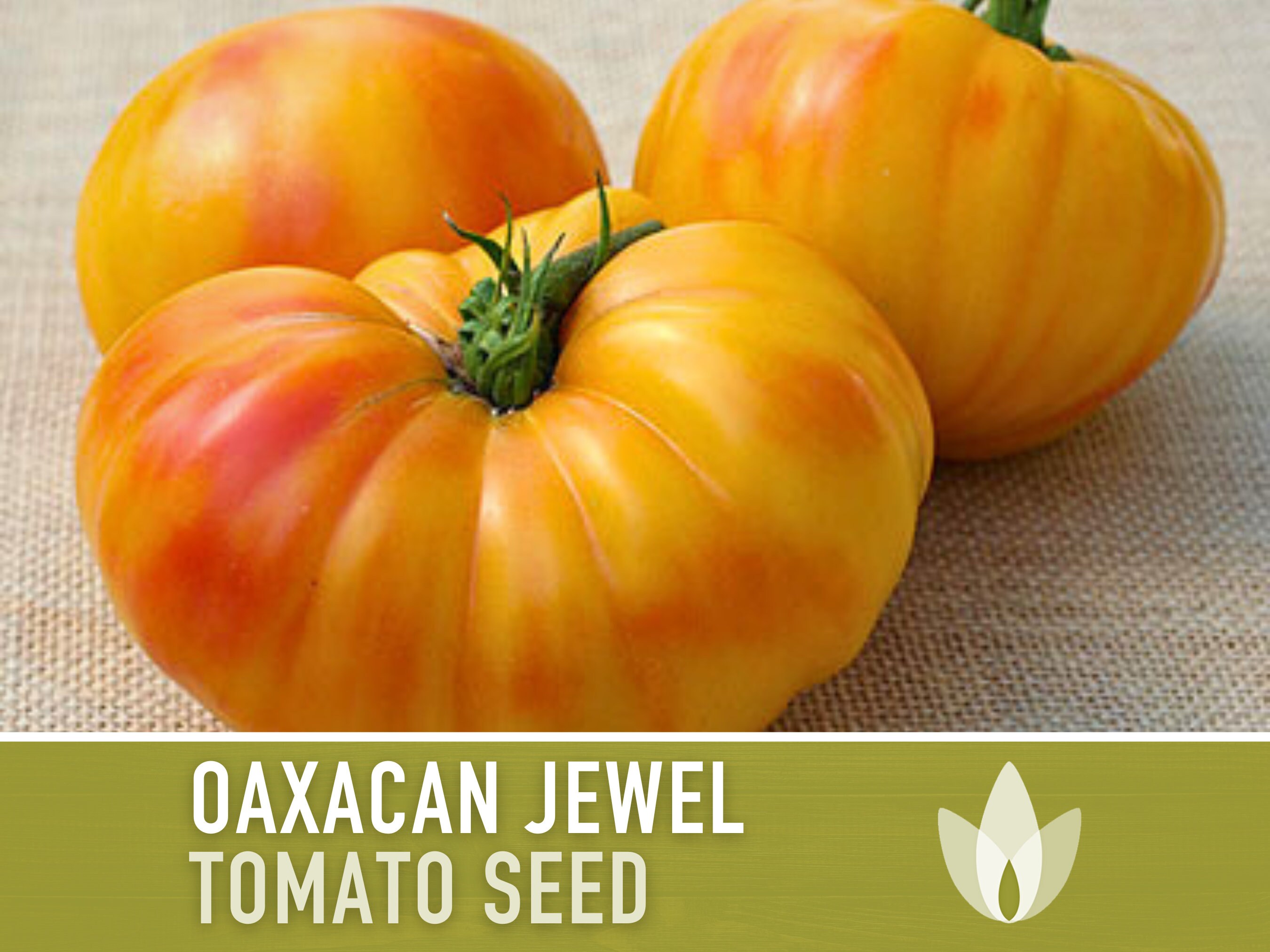 Oaxacan Jewel Tomato Heirloom Seeds - Etsy