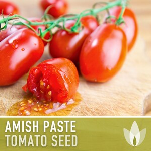 Amish Paste Tomato - 30 Seeds - Heirloom Tomato, Large Paste Tomato, Sauce Tomato, Plum Tomato ...