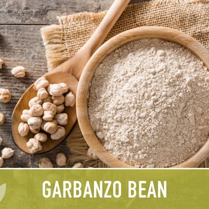 Garbanzo Heirloom Bean Seeds - Non-gmo Chickpea, Sprouting, Microgreens ...