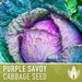 Purple Savoy Cabbage Seeds - Heirloom, Cold Hardy, 150 Seeds - Etsy