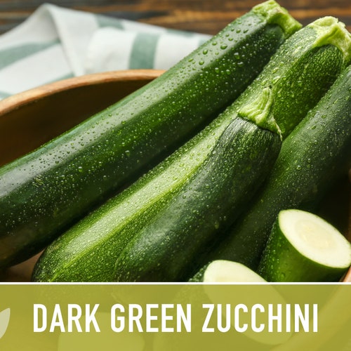 Heirloom Zucchini Vining Squash Seeds Tromboncino - Etsy