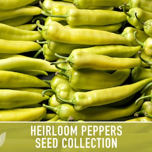 Heirloom Pepper Seed Collection - 10 Delicious Hot & Sweet Heirloom ...