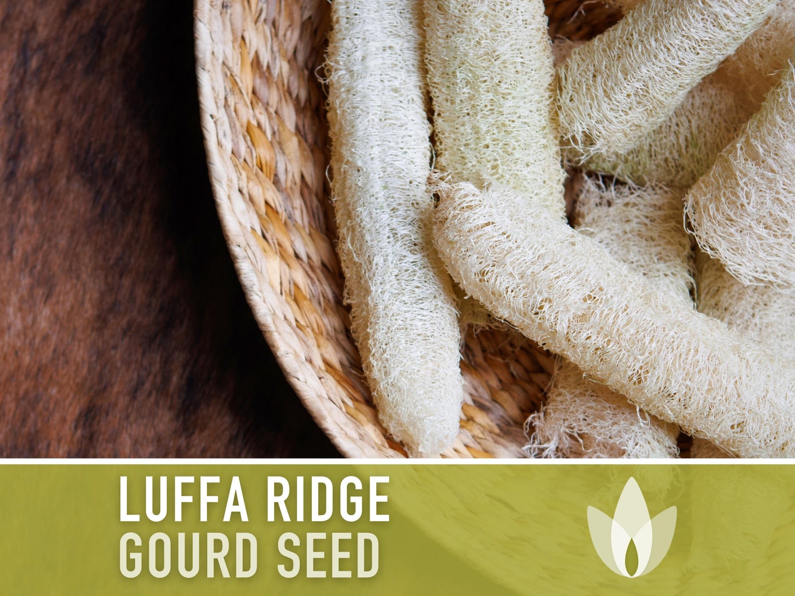 Luffa Ridge Gourd Seeds chinese Okra Heirloom Seeds - Etsy