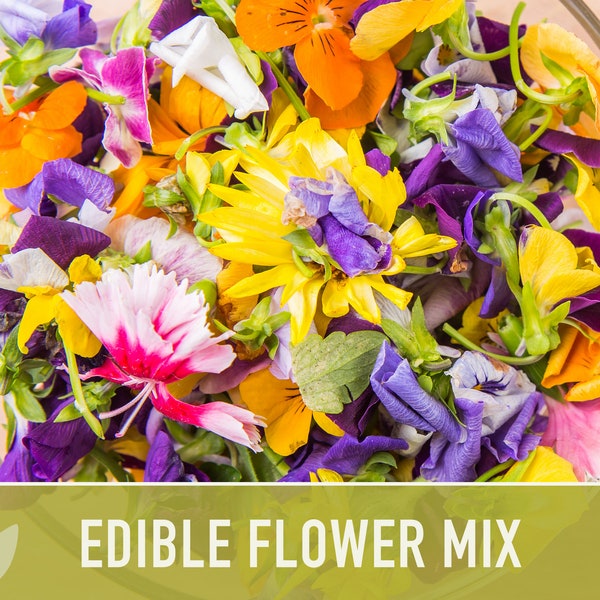 Perennial Flower Mix - Etsy