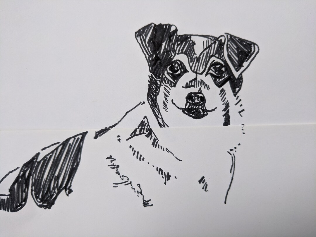 Custom Hand Drawn Pet Portrait - Etsy