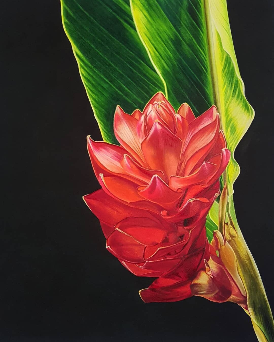 Original Flower Marker Drawing on Watercolour Paper, Red Flower ...