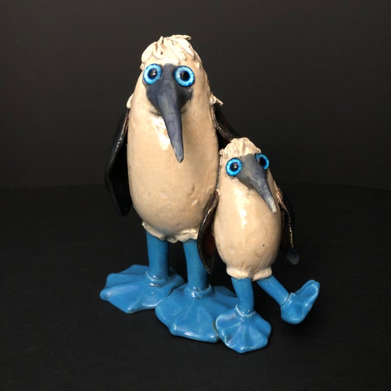 Baby Blue Footed Booby