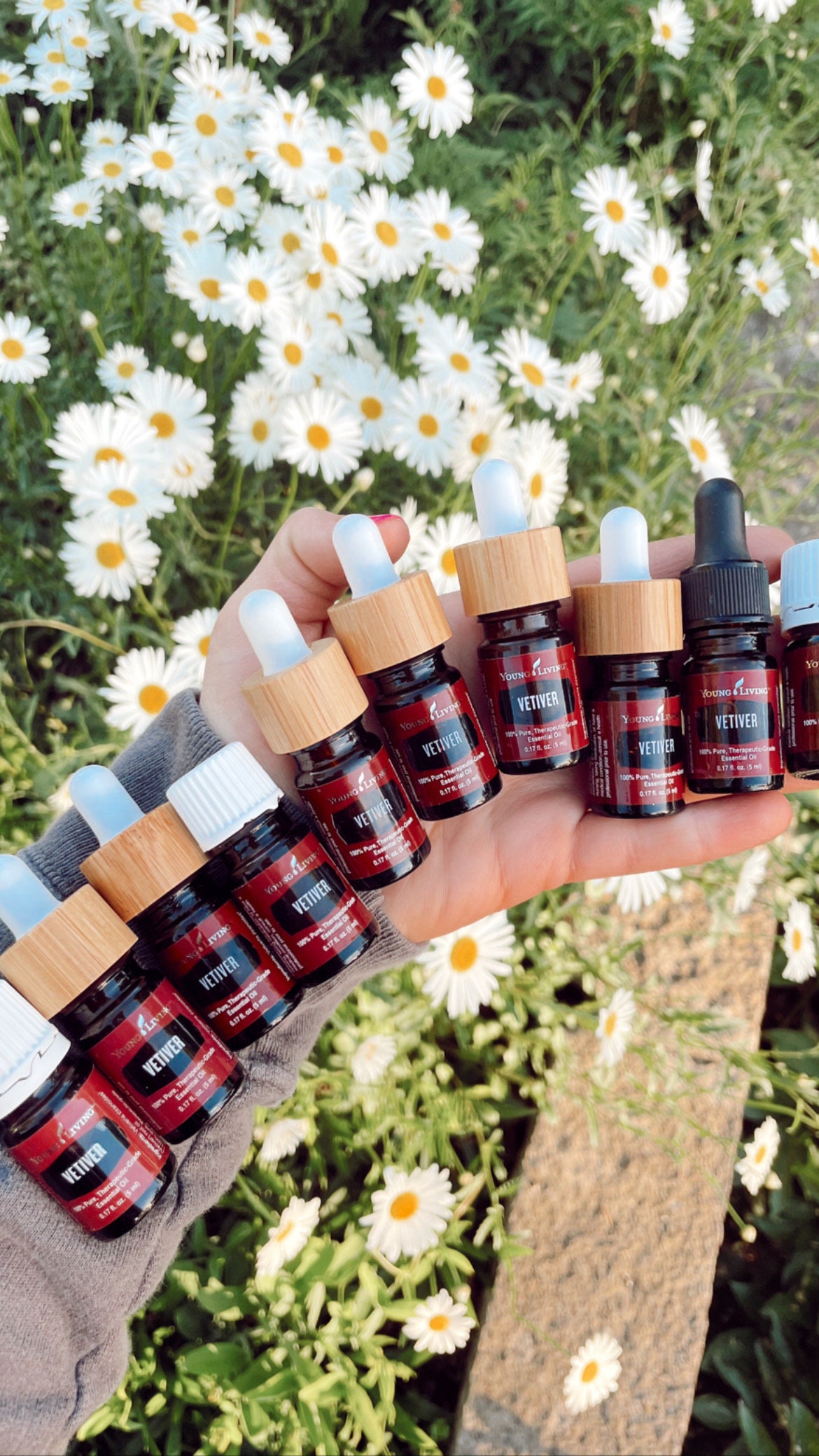 BAMBOO Droppers for 15ml and 5ml Essential Oil Bottles. 2 | Etsy