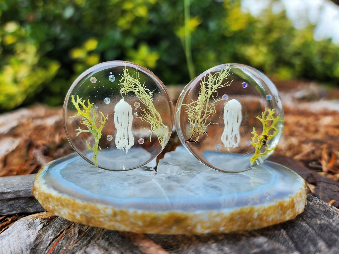 Moss Plugs Real Moss Gauges Plugs Real Moss Plugs Witchy - Etsy