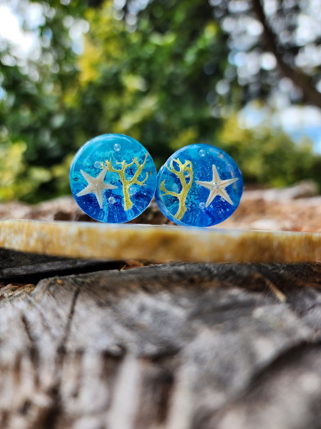 Handmade Ocean Resin Plugs, Starfish and Seahorse Ear Gauges - Etsy