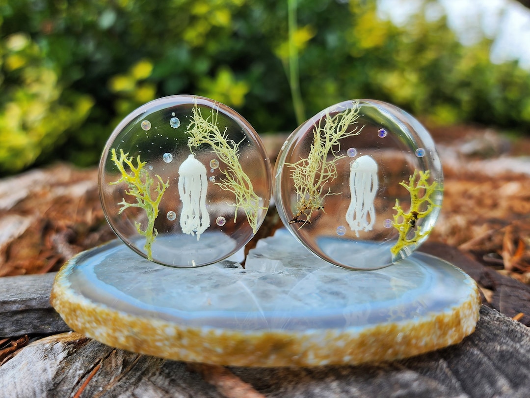 Seahorse Plugs, Starfish Plugs, Under the Sea Plugs, Ocean Plugs, Ear ...