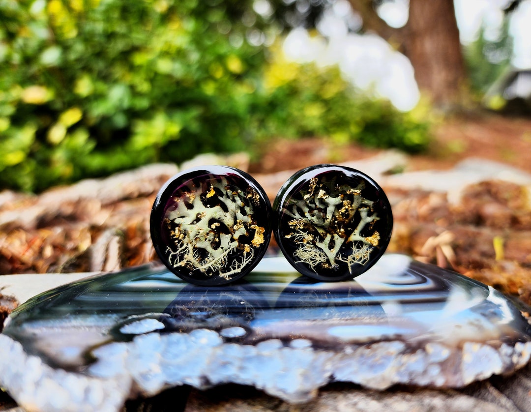 Moss Plugs, Real Moss Gauges, Plugs, Real Moss Plugs, Witchy, Moss ...