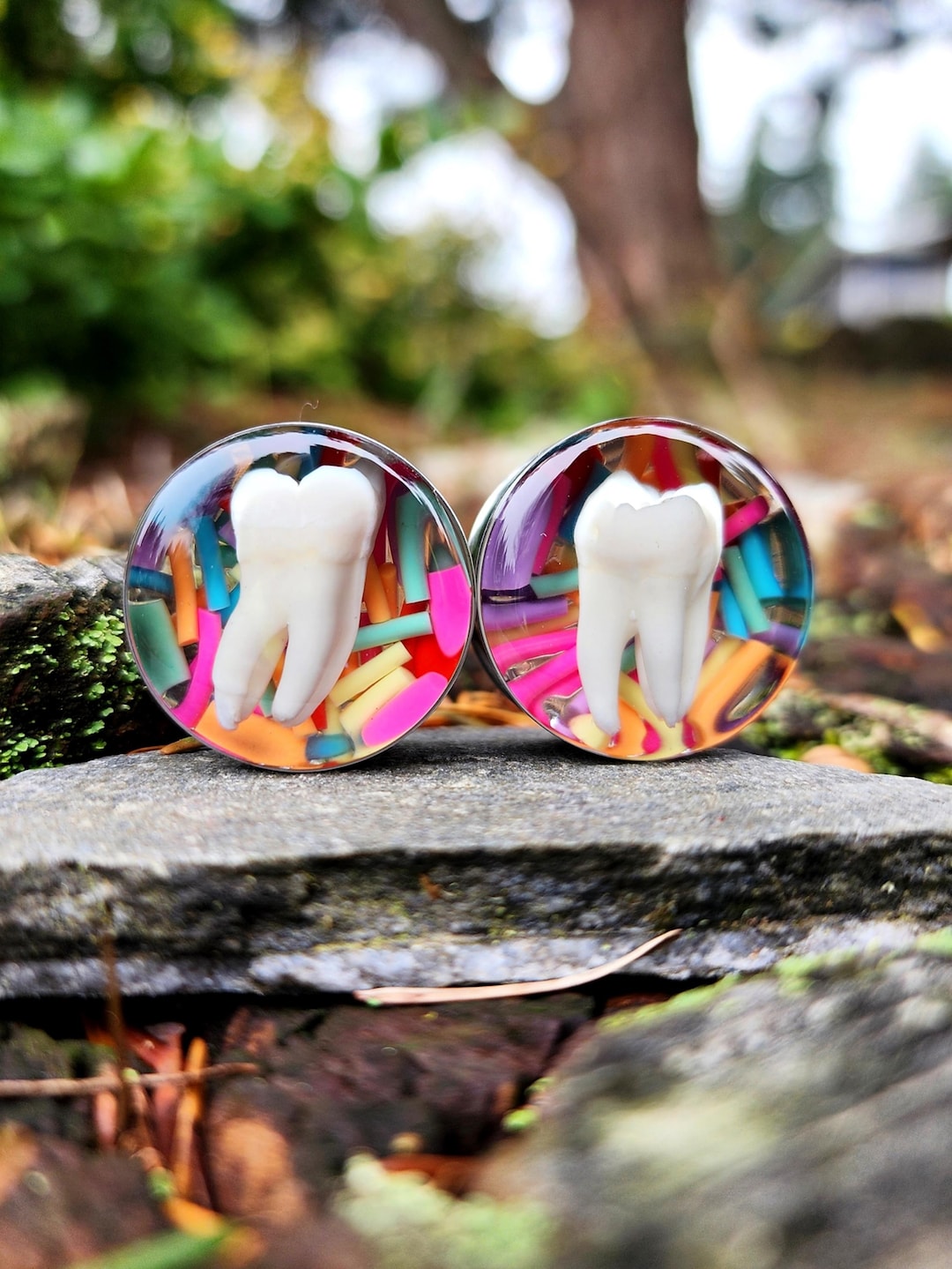Limited Edition, Real Teeth Plugs, Plugs, Teeth, Real Animal Teeth ...