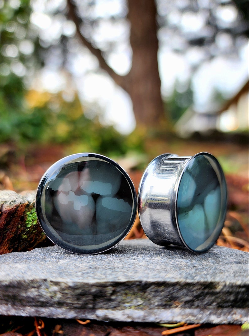 Dental X-ray Plugs: Oddities Ear Gauges - Etsy