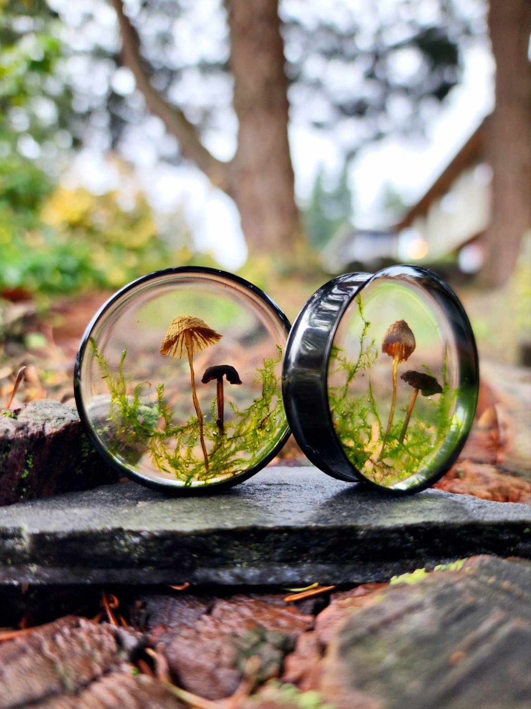 Real Mushroom Plugs, Plugs, Mushrooms, Moss, Mushies, Nature Plugs ...