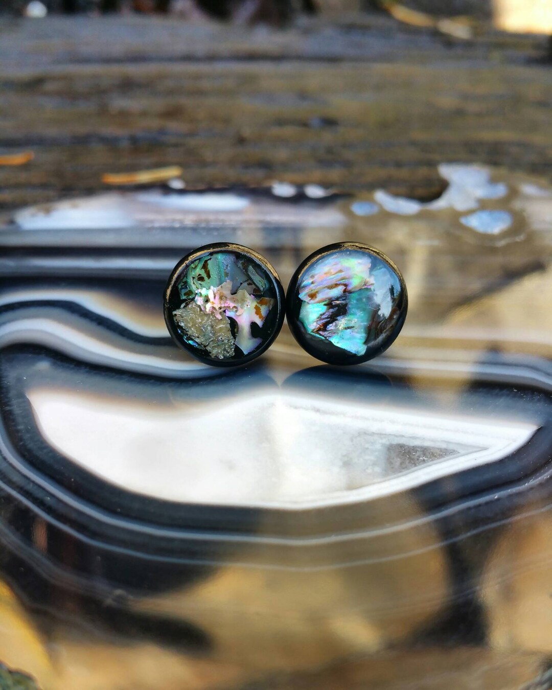 Limited Edition, Earrings, Abalone, Shell, Real Abalone, Stud, Round ...